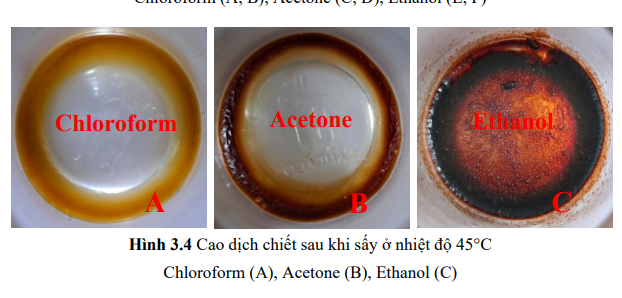 Nghiên cứu chiết xuất dịch chiết chứa rotenone từ rễ dây thuốc cá ...